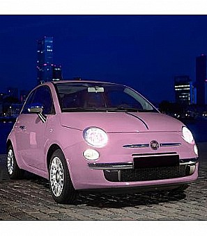 נורת H7 12V 55W COLORVISION PURPLE PHILIPS | נורות לרכב